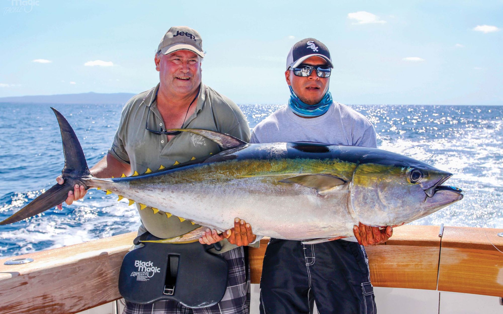 Yellowfin Tuna - Species Guide