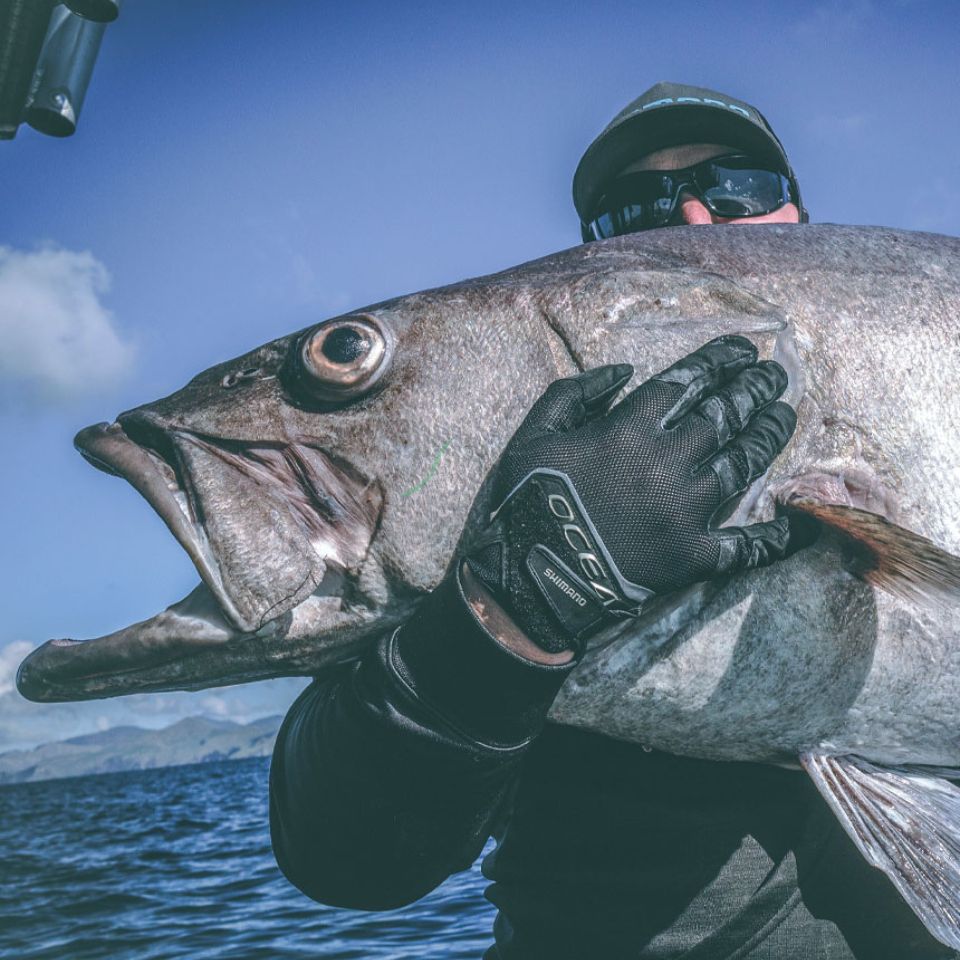 Groper Grabber Rig - Saltwater