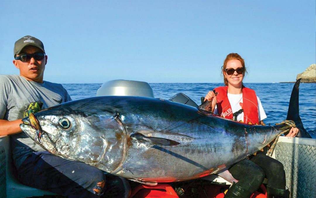 Chasing Bluefin - Fishing Guide