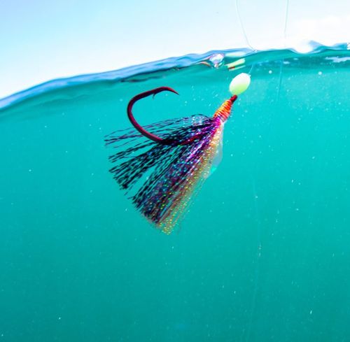 Black Magic Tackle - Black Magic and Wasabi fishing tackle