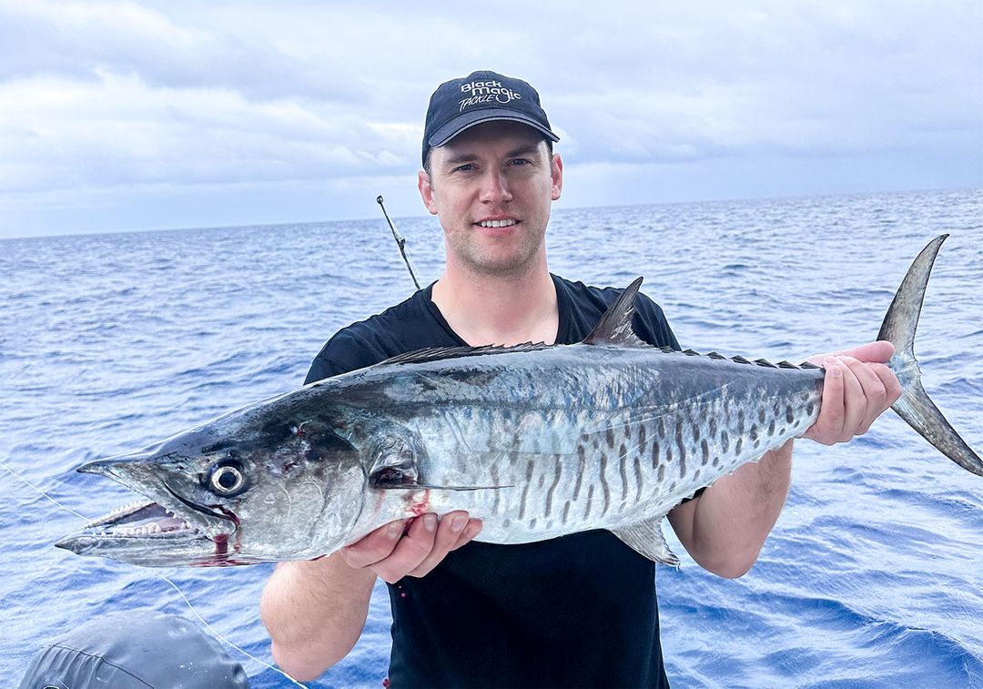 Spanish Mackerel - Species Guide