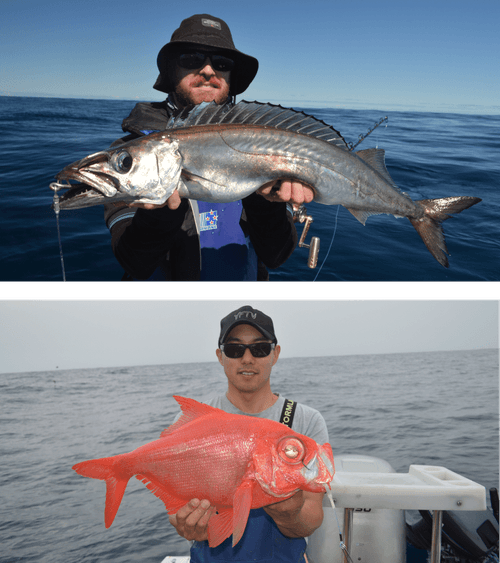 Guide to deep dropping - Fishing Guide