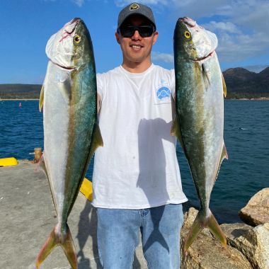 Black Magic Tackle - Black Magic and Wasabi fishing tackle