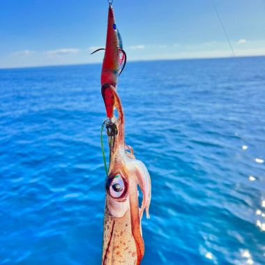 Black Magic Tackle - Black Magic and Wasabi fishing tackle