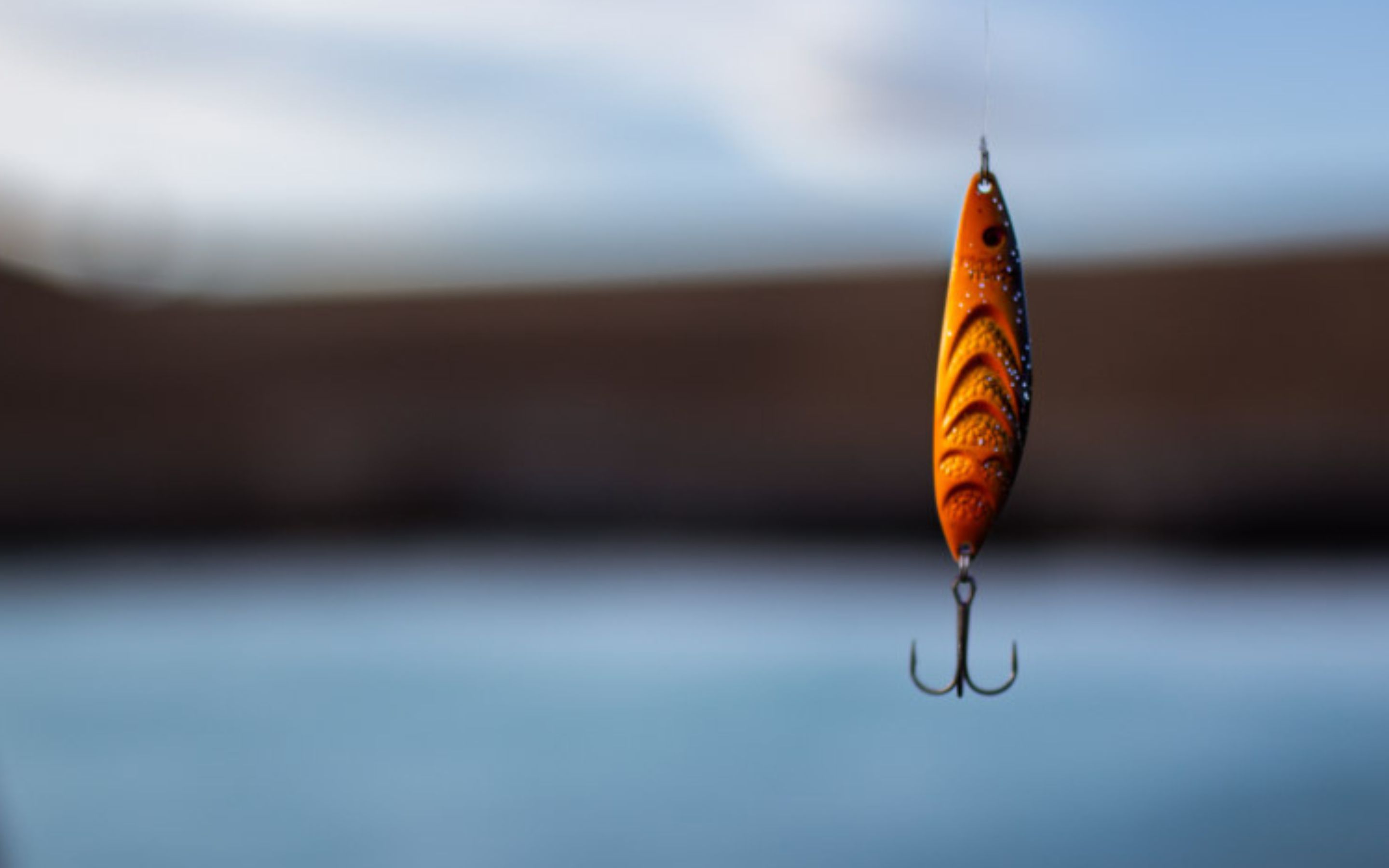 Fresh Water - Black Magic Tackle