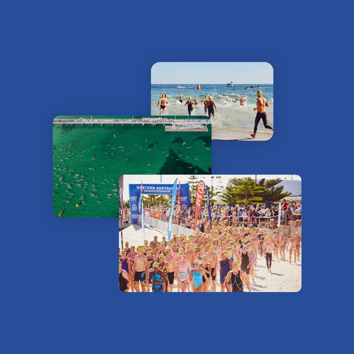 Busselton Jetty Swim | Digital Services Case Studies OKMG