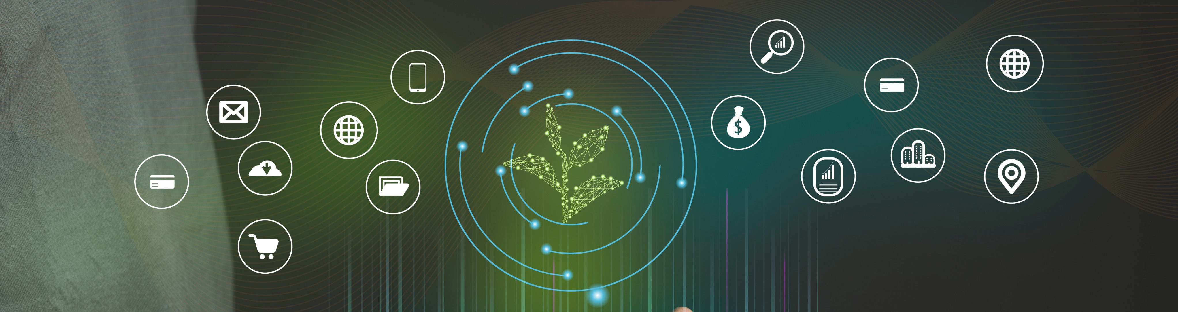 Sustainability Strategy & Transformation - SparkOptimus