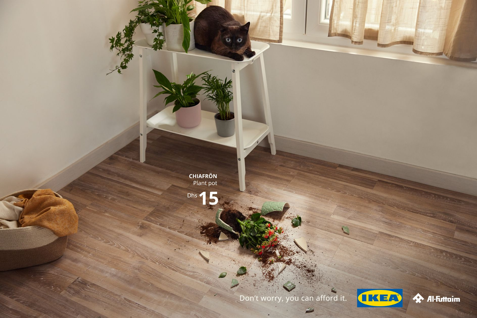 「愛寵無憂」IKEA 創新廣告，巧妙探討價格親民性｜從心設計 F5 Design