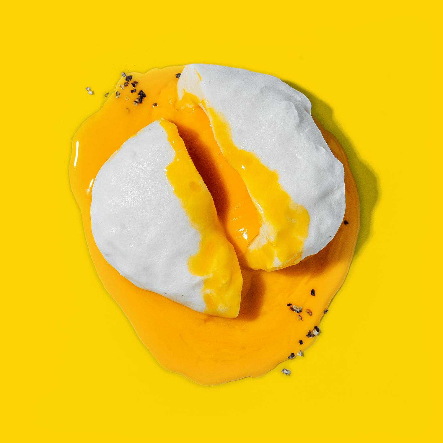 Our Eggs | Yo Egg