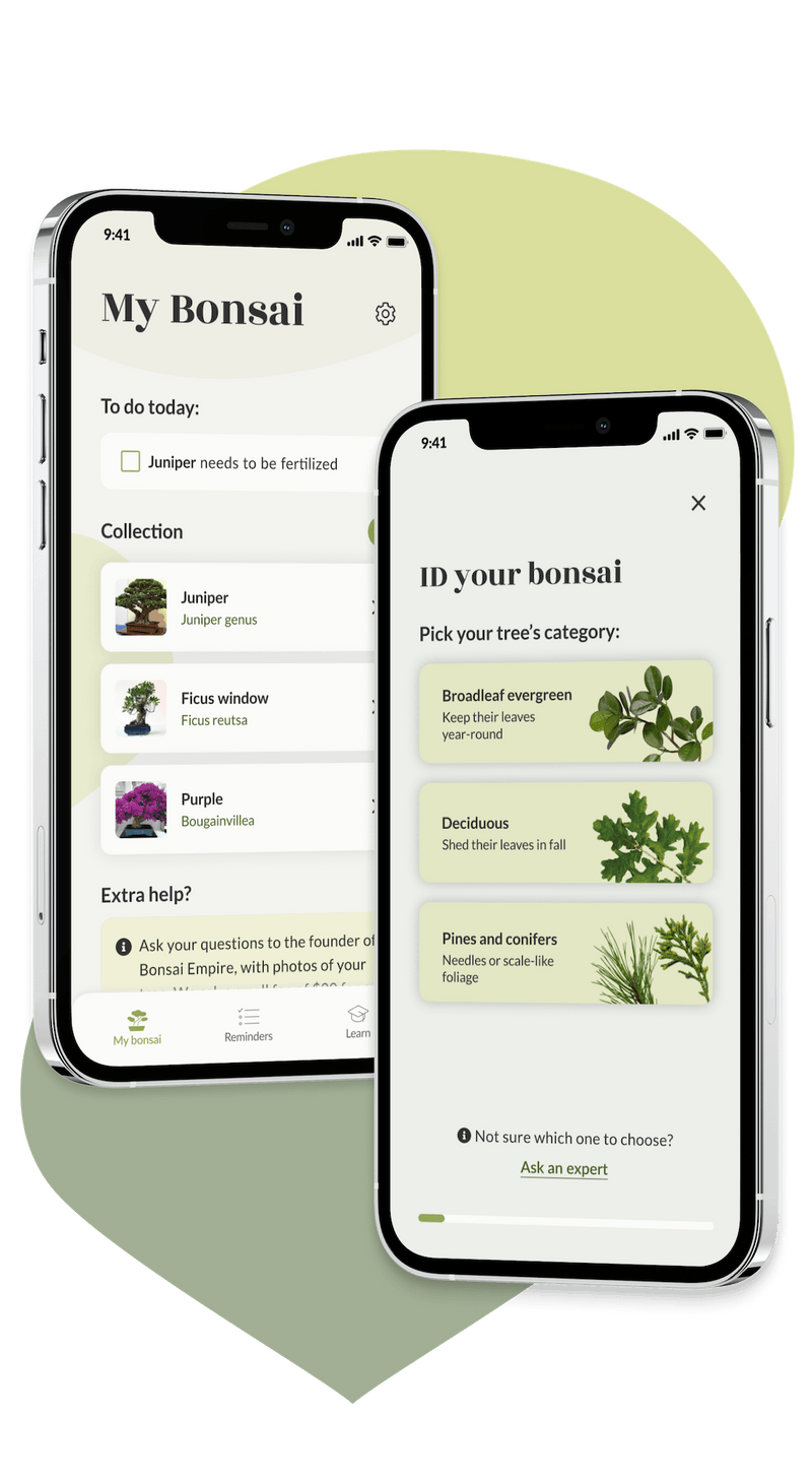 Bonsai Care App by Bonsai Empire