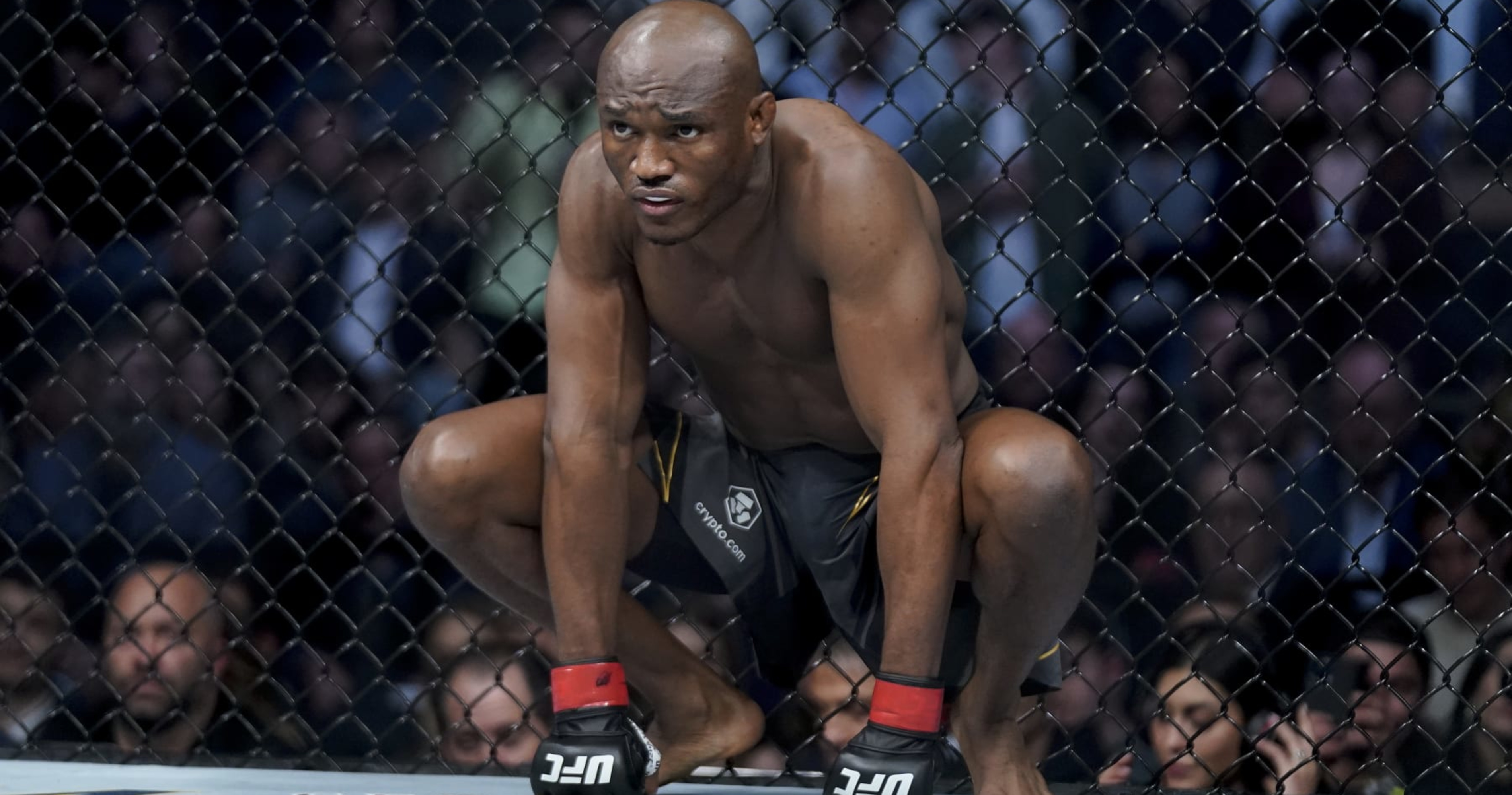 Usman's Corner: MMA Powerhouses Unite for the Ultimate Showdown