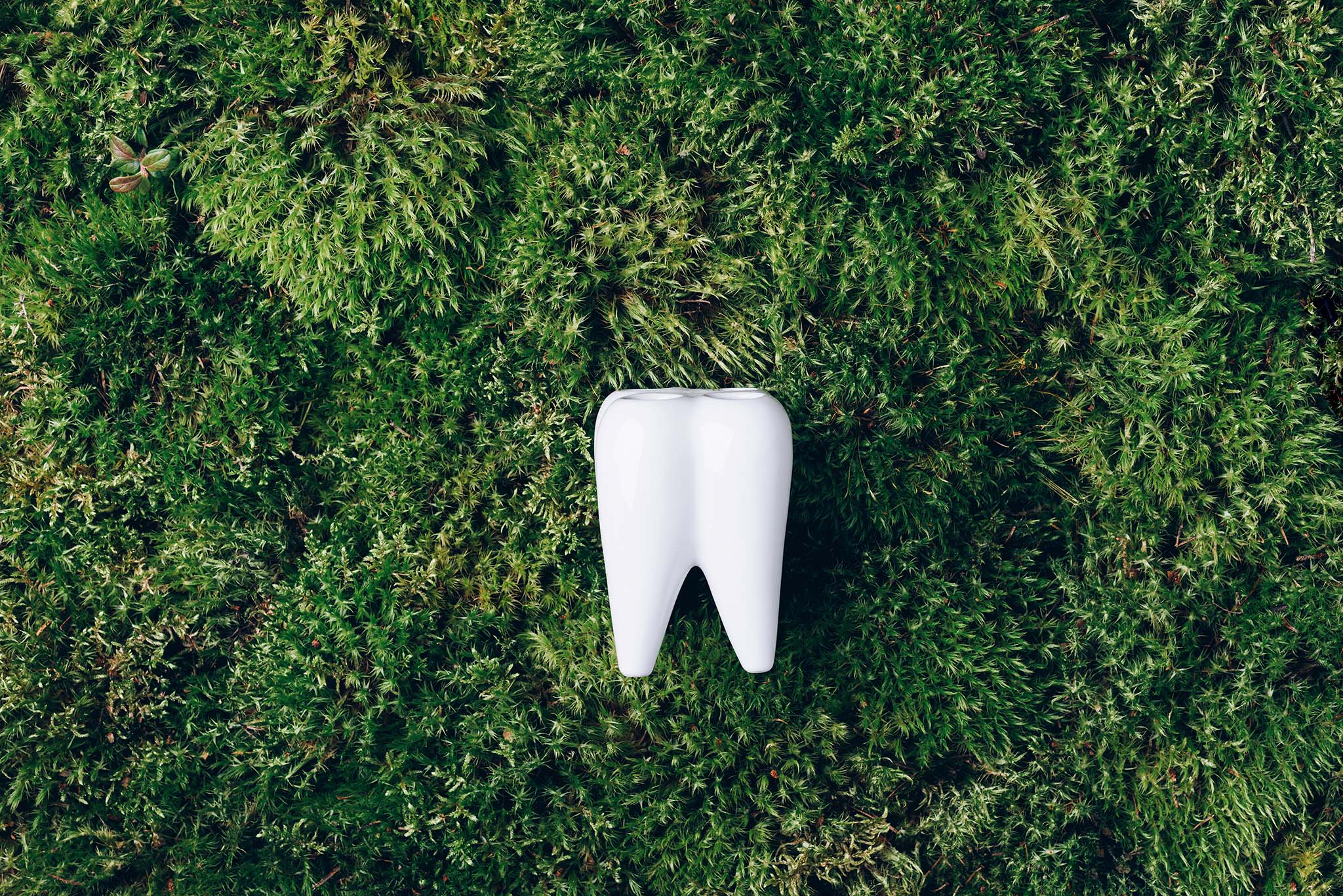 Dentist in Birmingham | Birmingham Holistic Dentistry