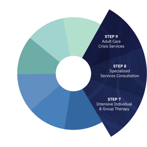 Well-Being Wheel Interactive