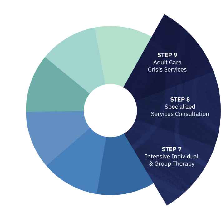 Well-Being Wheel Interactive