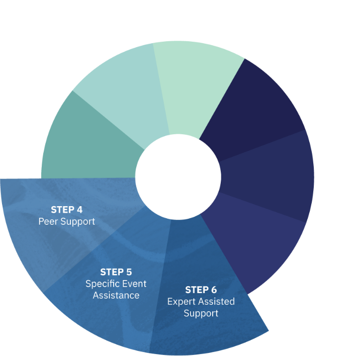 Well-Being Wheel Interactive