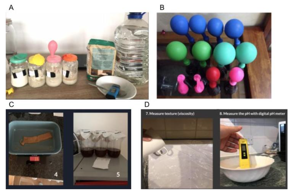 Minerva University | The World As Your Lab—Chemistry