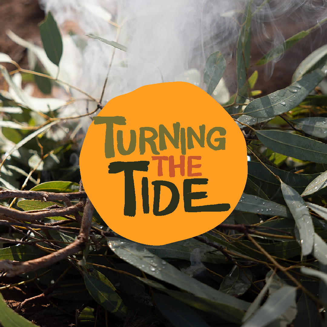Turning the TIDE