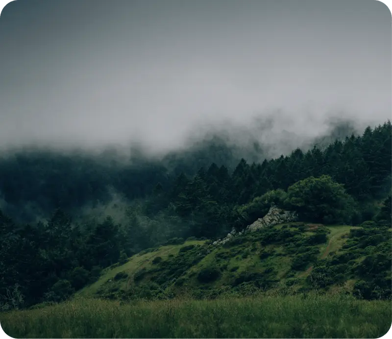 Flaskk - Il nuovo modo di bere sano e sostenibile