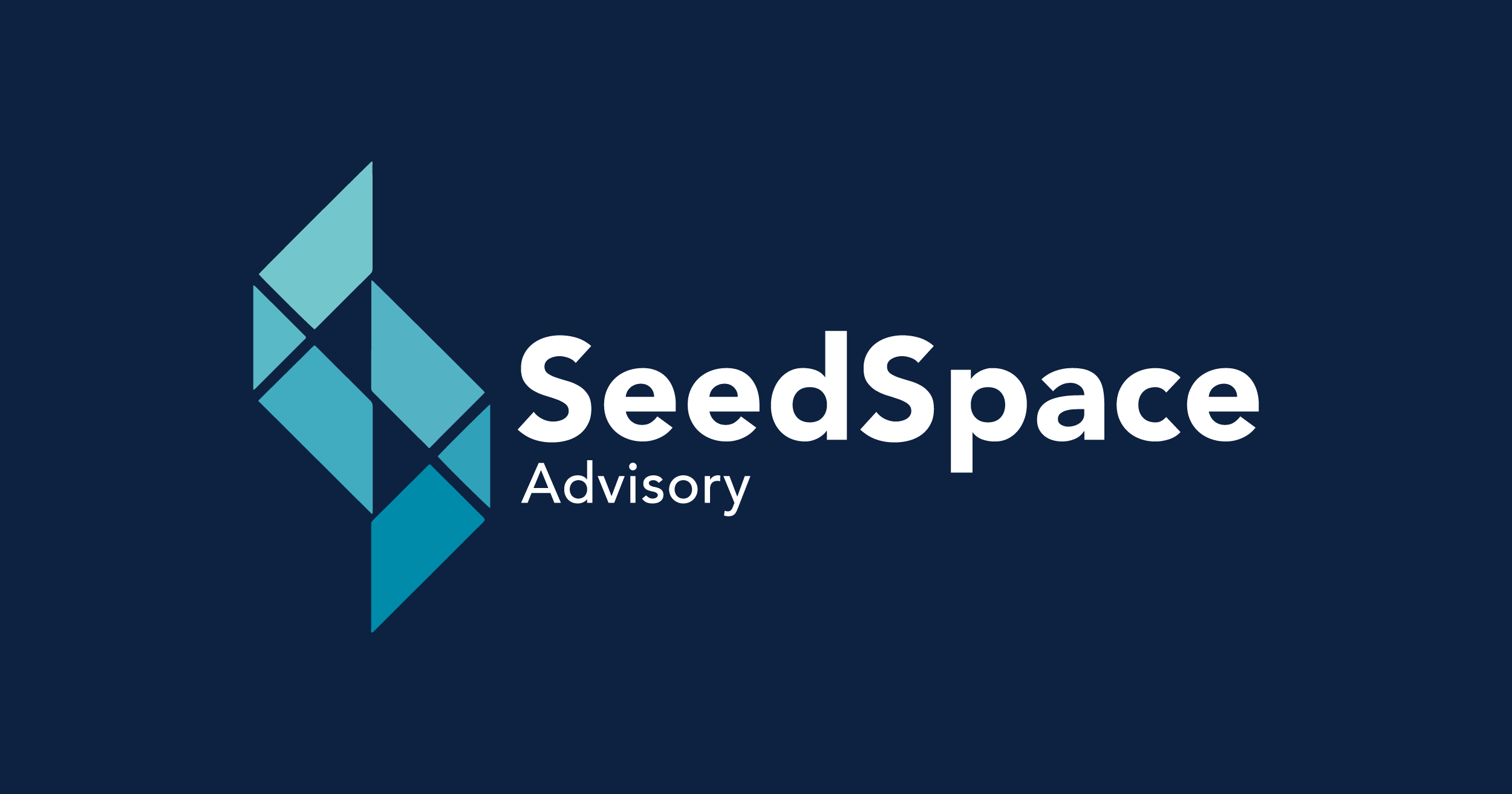 Seed Space Advisory | Scaling Tech Startups Globally