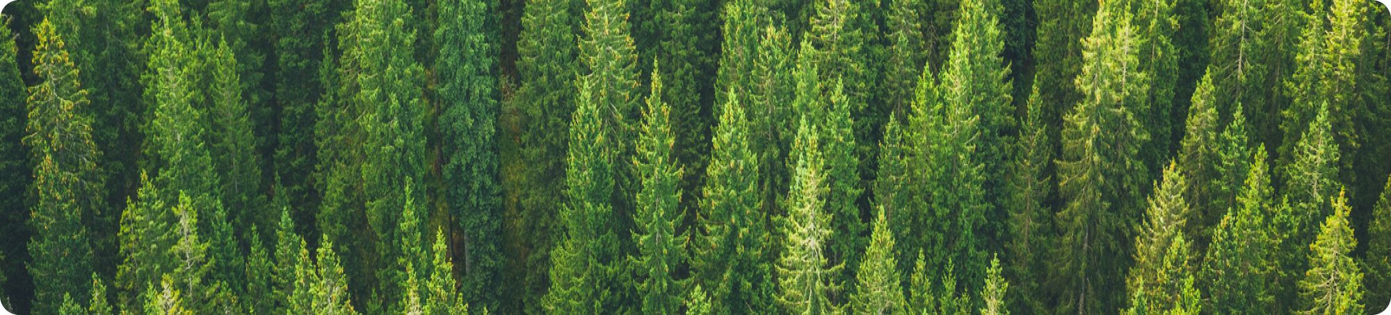 Alternaleaf for Doctors | Holistic Health Treatments, For A Better You