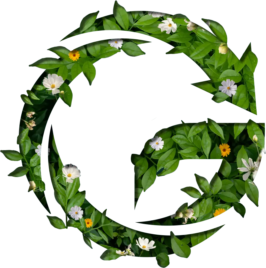 About Us | Vision Green