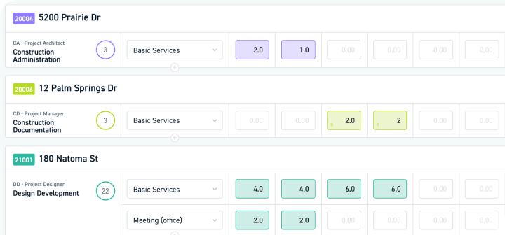 Project accounting - Monograph