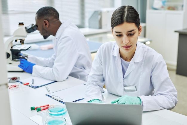 Guia Passo a Passo para Escrever um Currículo Eficaz para Auxiliar de ...