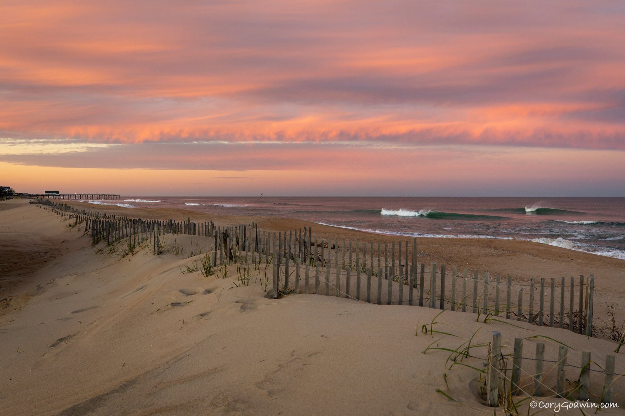 Whats New - Blue Moon Beach Grill