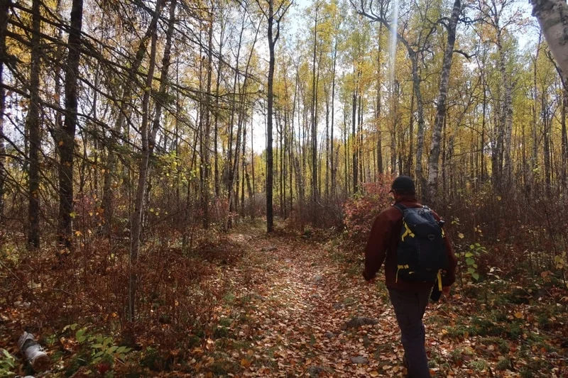Activities & Things to do in Pinawa, MB | Wilderness Edge