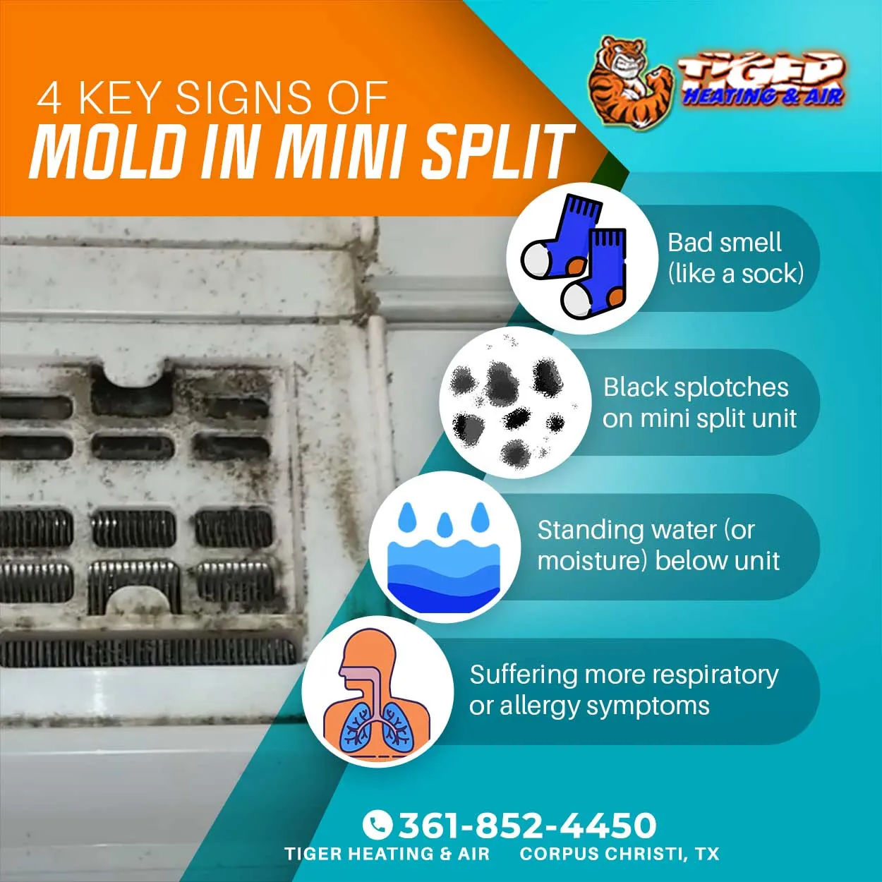 Have Mold in Your Mini Split? | Tommy Cool Air