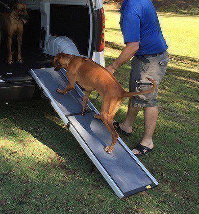 Dog Loading Ramp - 1810mm long x 430mm wide - Scooters & Mobility ...