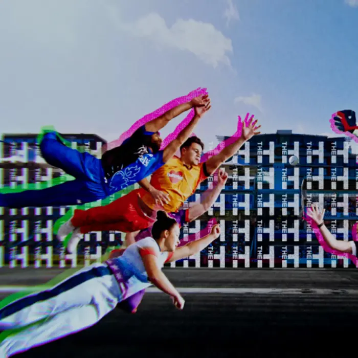 House 337 - Our Expertise