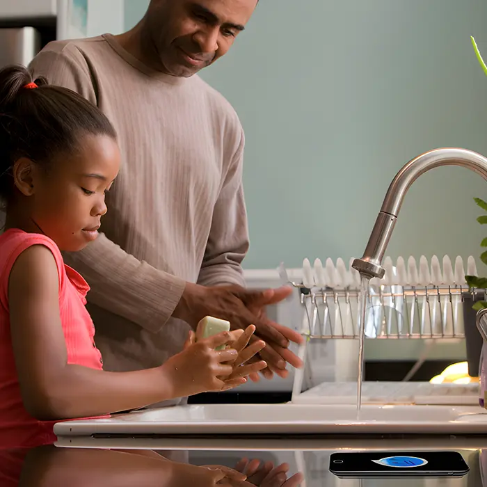 House 337 - Our Expertise