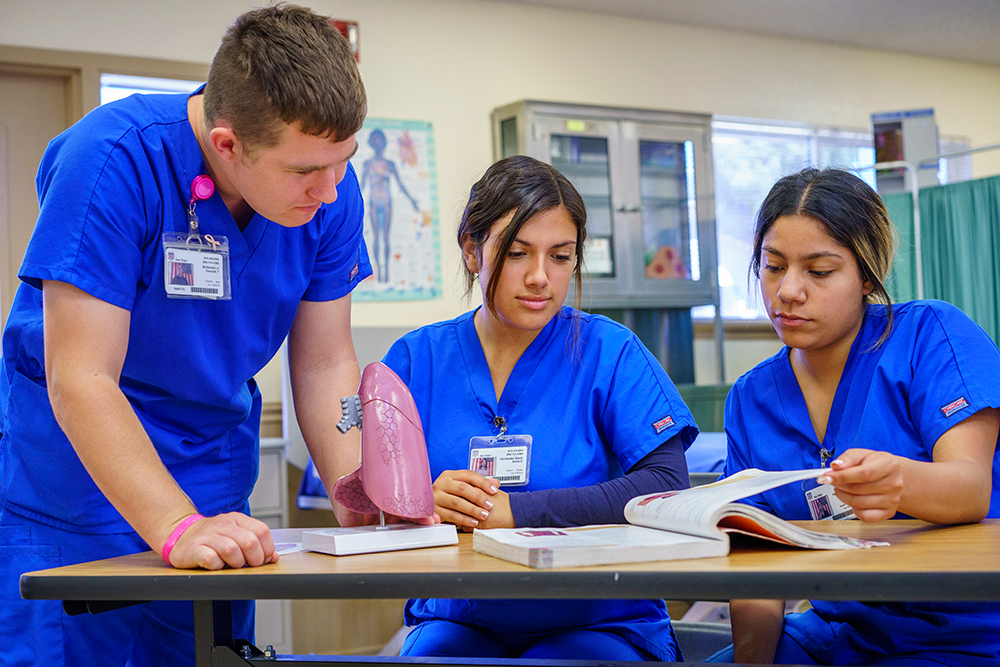 The Role Of Math In Medical Billing And Coding Why It Matters The Role Of Math In Medical Billing And Coding Why It Matters