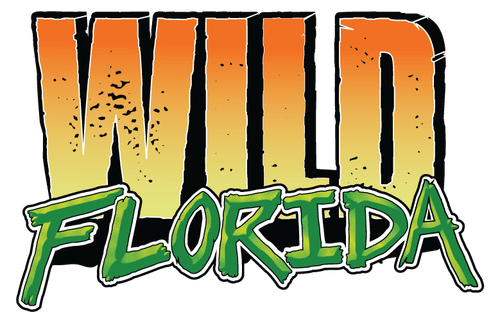 Home — Silver Spurs Rodeo