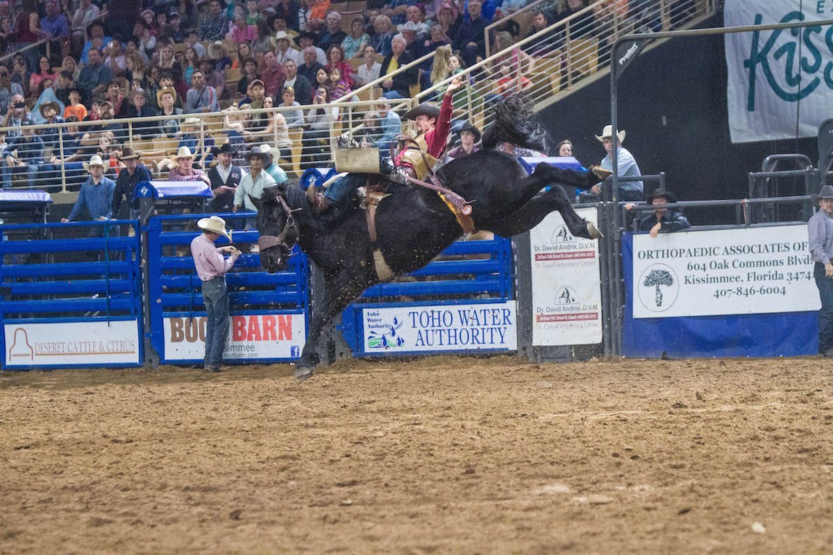 Bareback vs. Saddle Bronc Riding: Key Differences