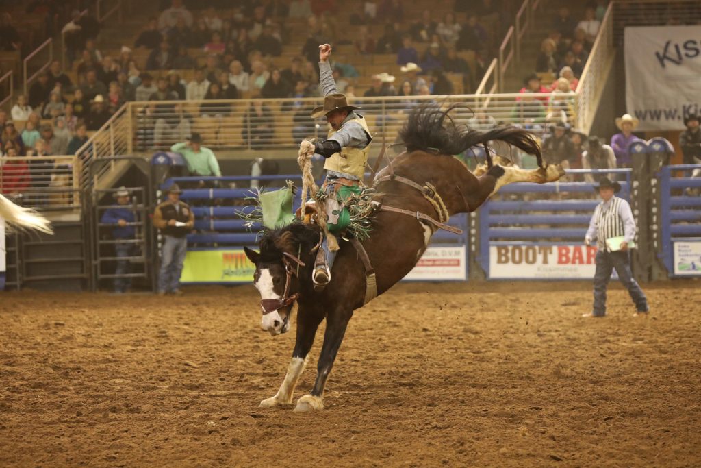 9 Family Fun Activities You Can Do at the Rodeo
