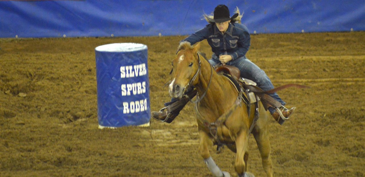 Why You Should Attend a Florida Rodeo at Least Once