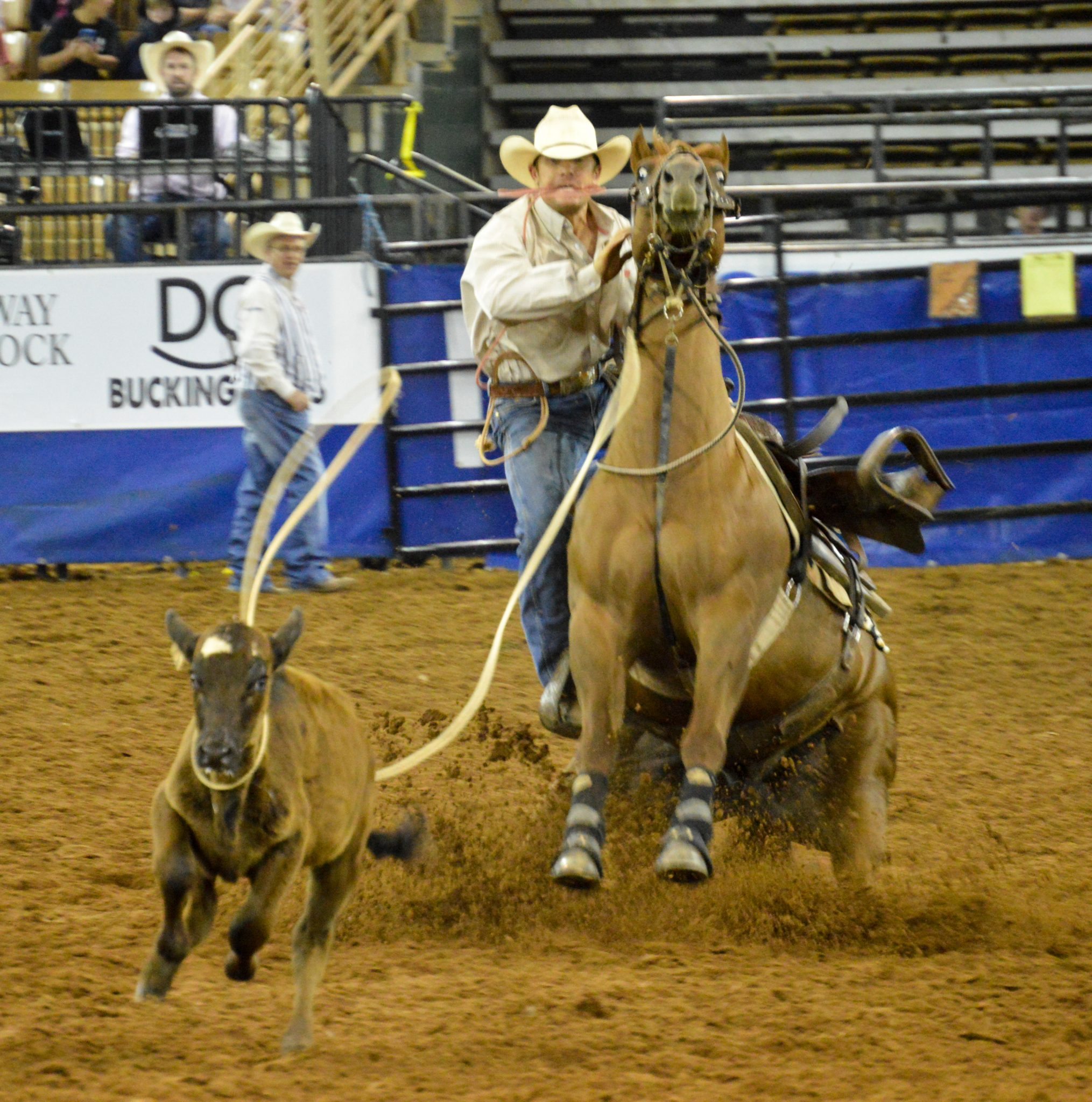 The history of tie-down roping: From ranch chore to rodeo event