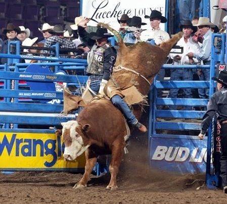 Silver Spurs Rodeo Champs Who Achieved Rodeo Greatness
