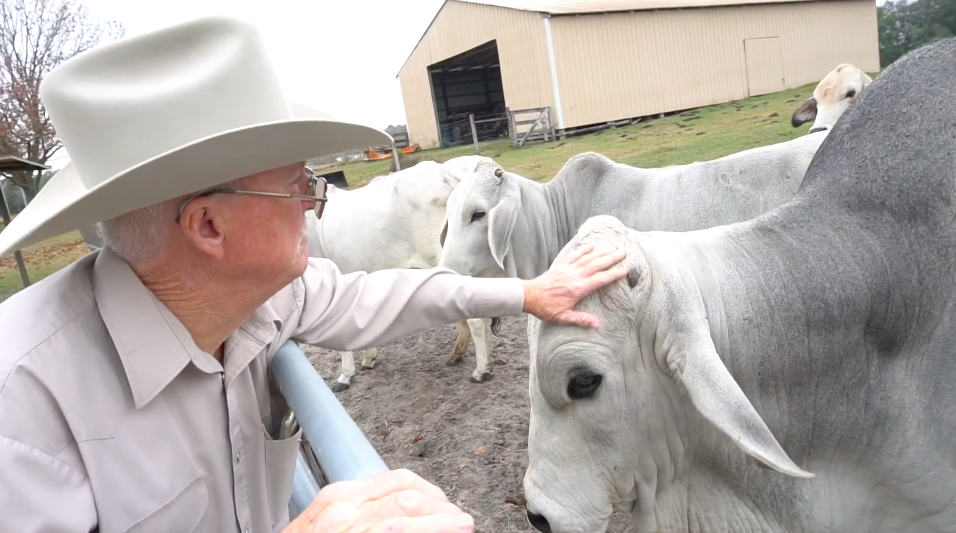 Coca-Cola Cowboy Mike White Shares His Story