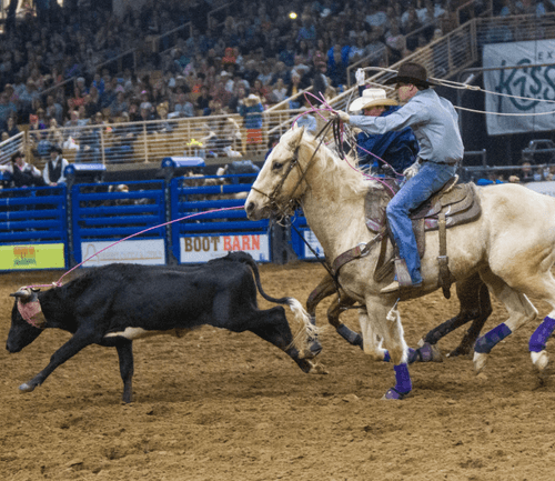 Team Roping Event | Silver Spurs Rodeo