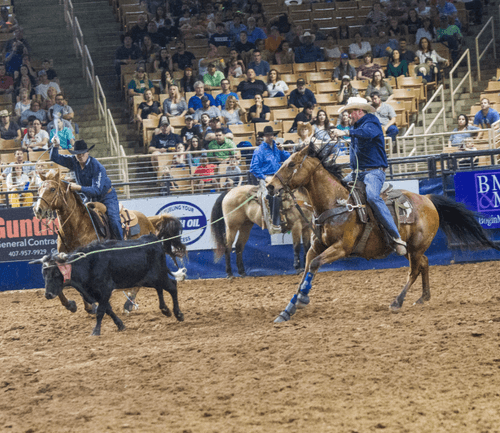 Team Roping Event | Silver Spurs Rodeo