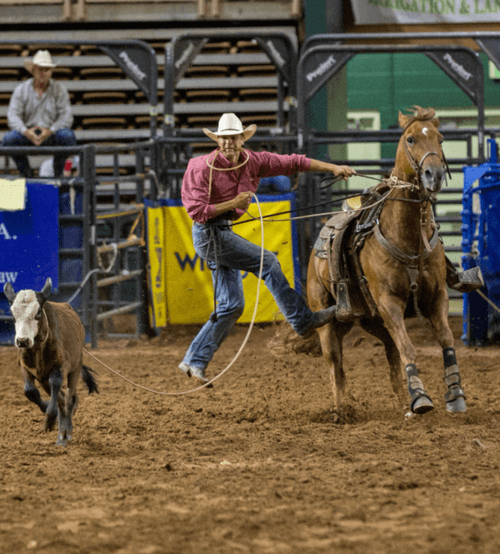 Tie-Down Roping | Silver Spurs Rodeo
