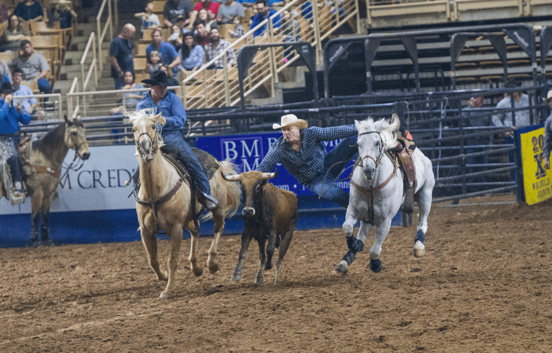Steer Wrestling Event | Silver Spurs Rodeo