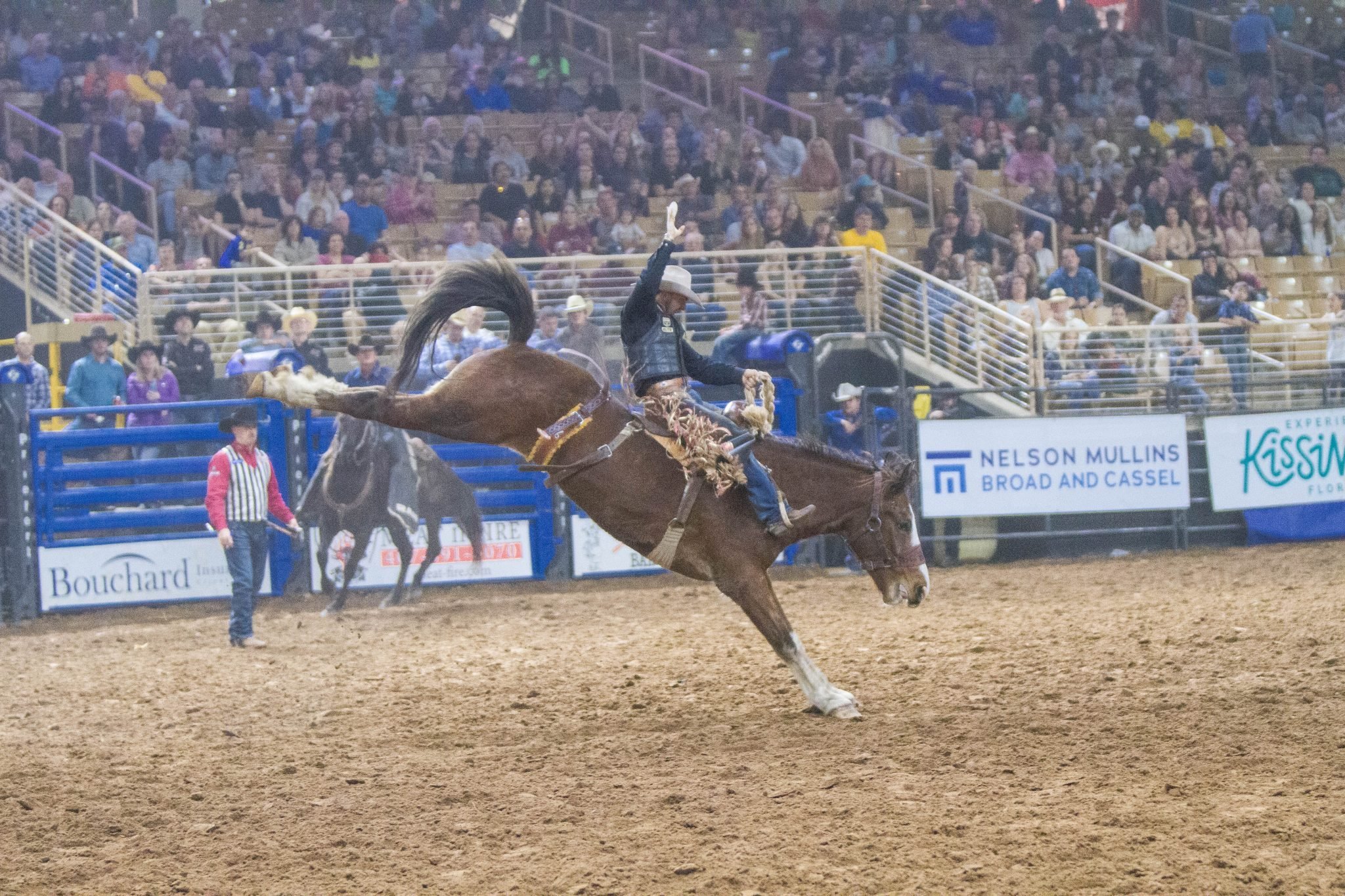 24 Rodeo Terms You Should Know