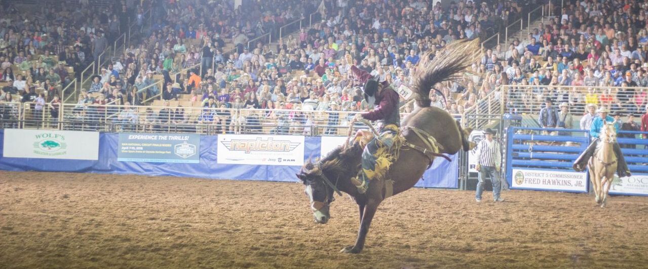 Which past Silver Spurs champions have made it big?