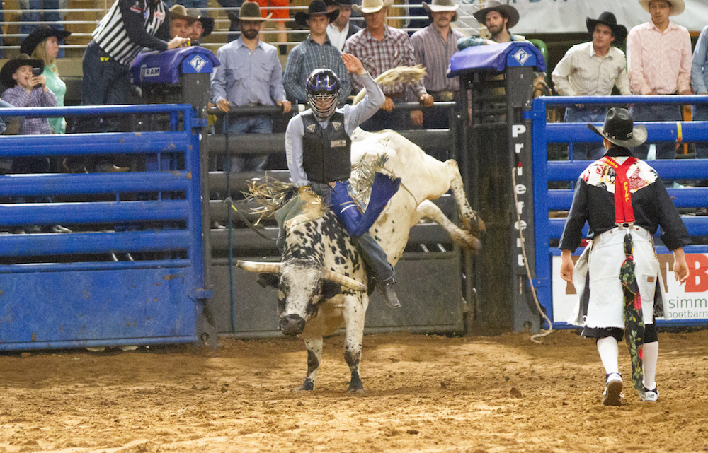142nd Silver Spurs Rodeo Results and Your Rodeo Champions
