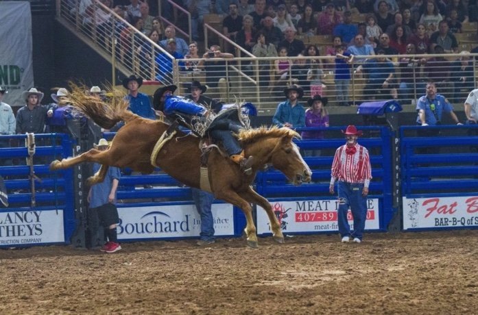 Everything you need to know on how to start rodeoing!