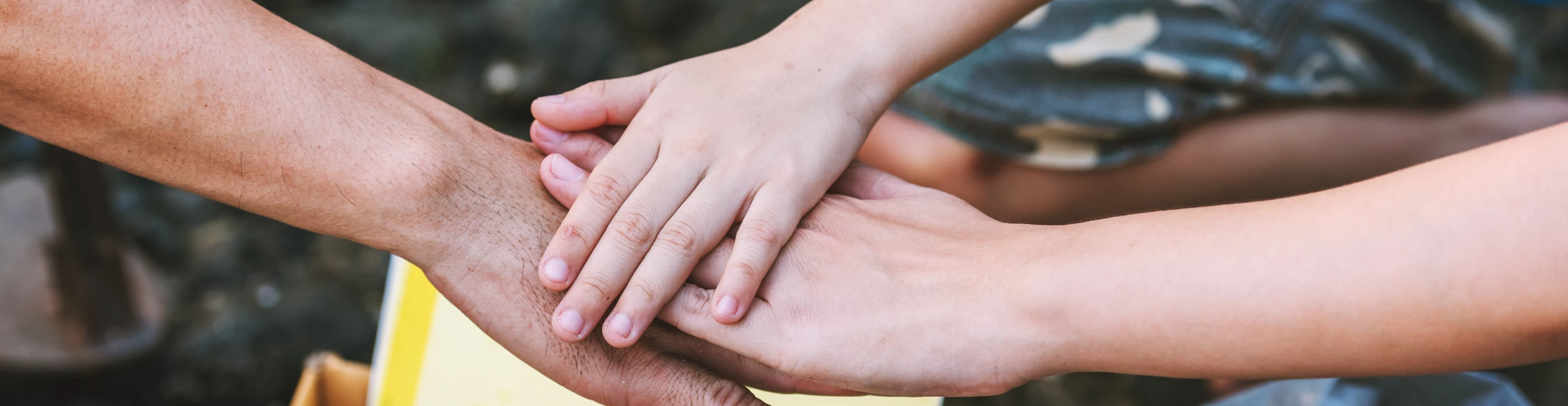 Servicio Comunitario - American School of Santo Domingo